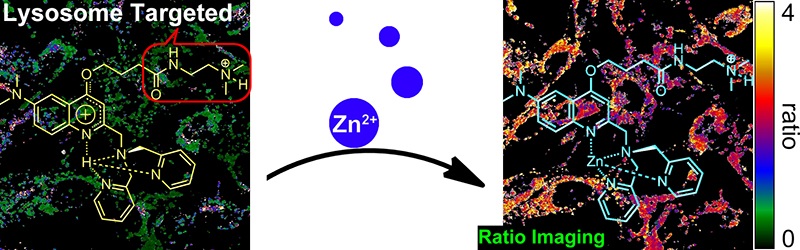 中国科学技术大学 薛林--中文主页--发表文章