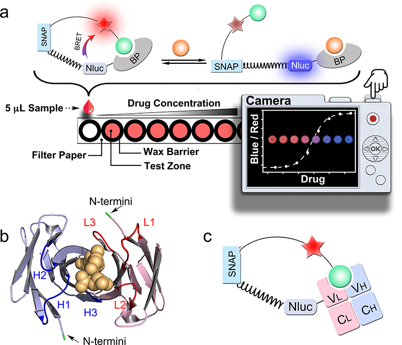中国科学技术大学 薛林--中文主页--发表文章