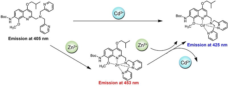 中国科学技术大学 薛林--中文主页--发表文章