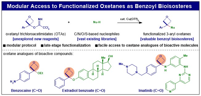 中国科学技术大学 Hai-Jun Zhang--Home-- Modular Access to Functionalized ...
