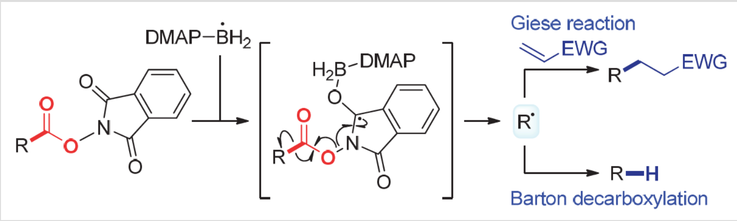 中国科学技术大学 汪义丰--中文主页-- 30. Ji-Kang Jin, Feng-Lian Zhang,* Yi-Feng Wang ...