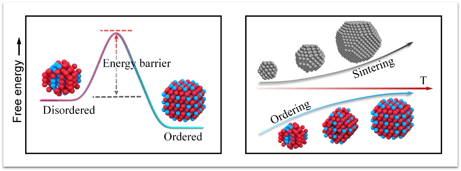 中国科学技术大学 梁海伟--中文主页--科学研究