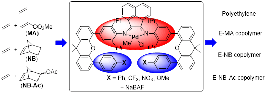 中国科学技术大学 Chen Changle--Home--Before 2020